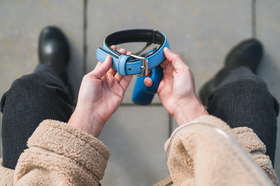 Raça de cão foi proibida e foi dada ordem para abater