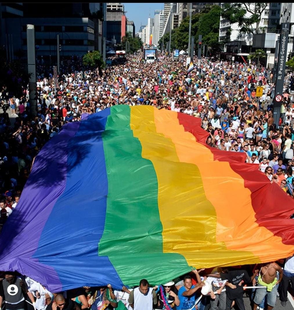 Dia Internacional do Orgulho LGBTQIAPN+: celebração, resistência e ...