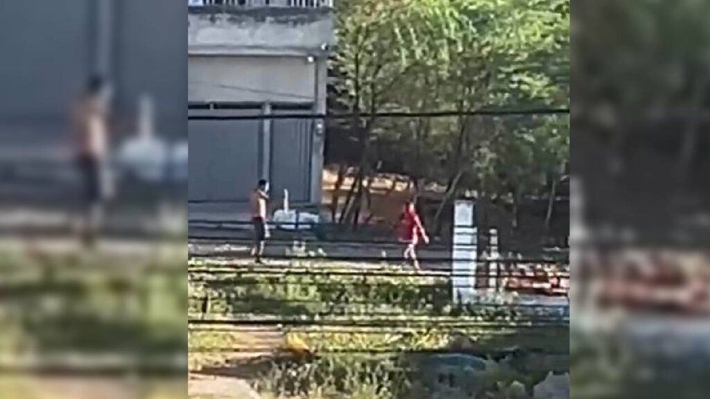 Mulher tem fratura no braço após ser agredida com foice pelo próprio ...